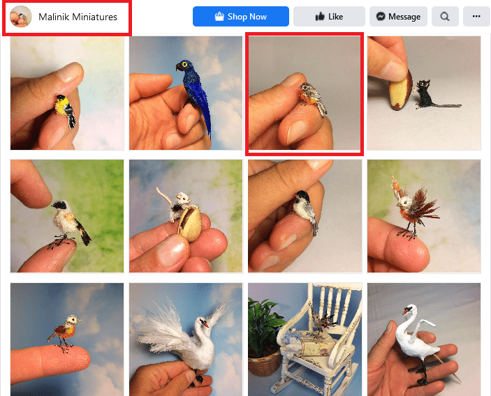 الطائر في الصورة ليس حقيقي والمعلومات الواردة ليست لأصغر طائر في العالم ...